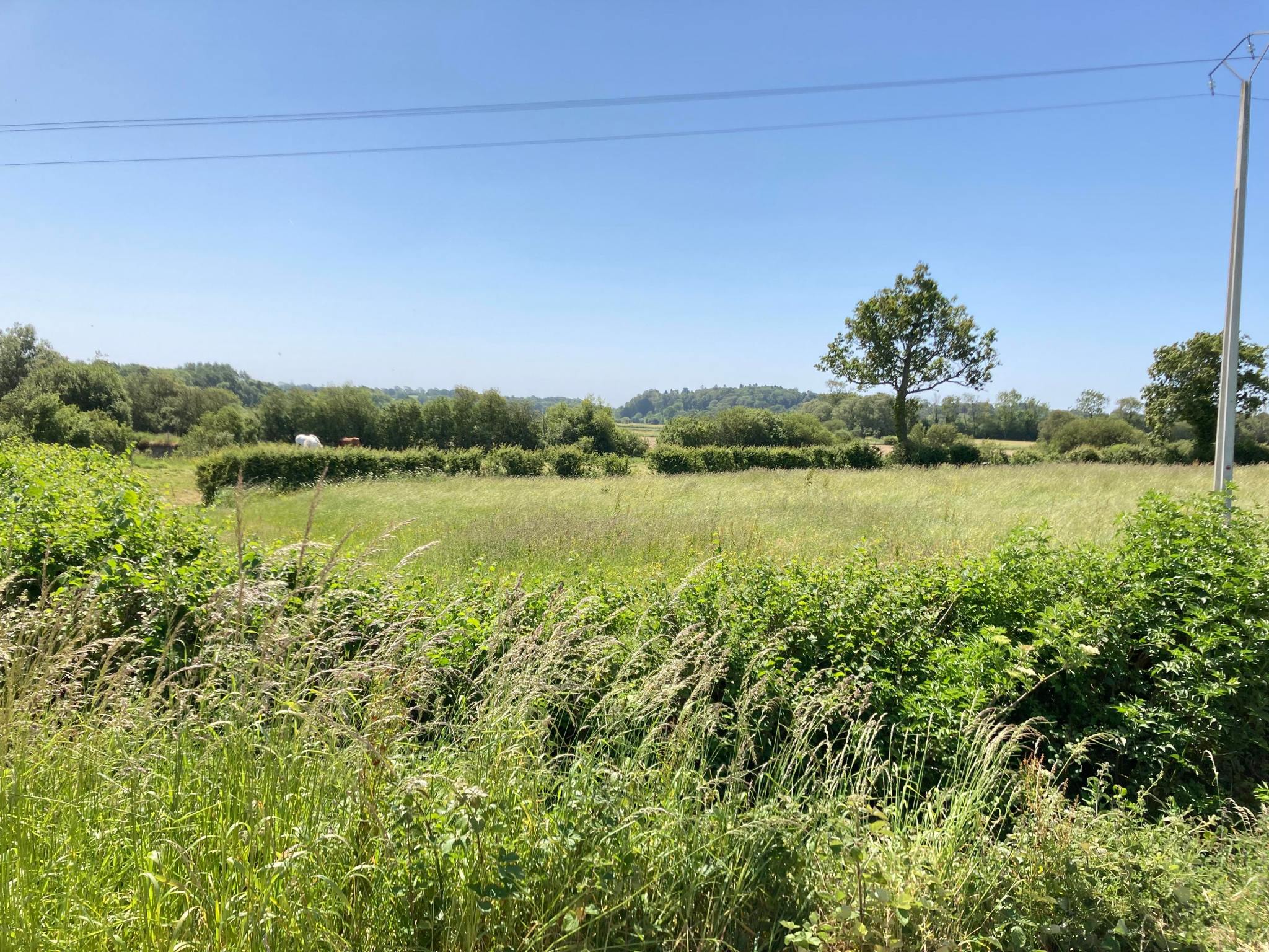 14 June – 1 July 1944: 60th Infantry Regiment | 9th Infantry Division ...